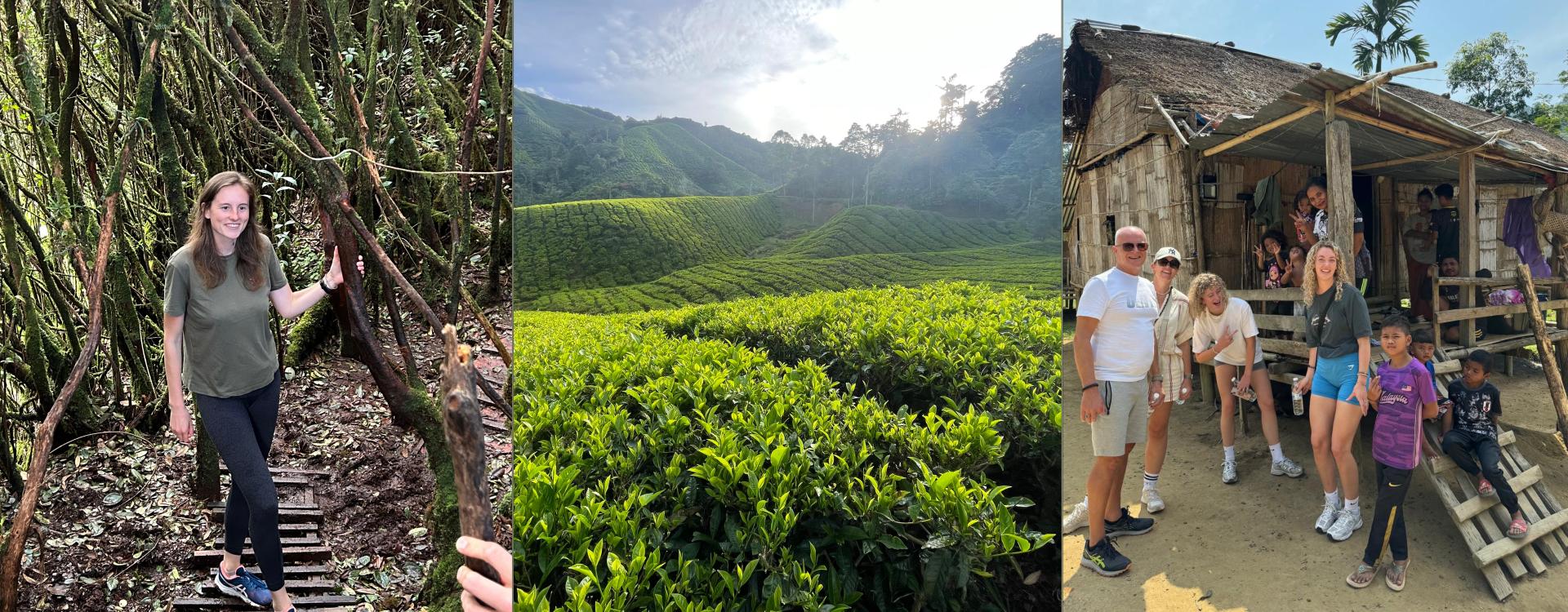 The Backyard Glamping Cameron Highlands - Campsite in Cameron Highlands ...