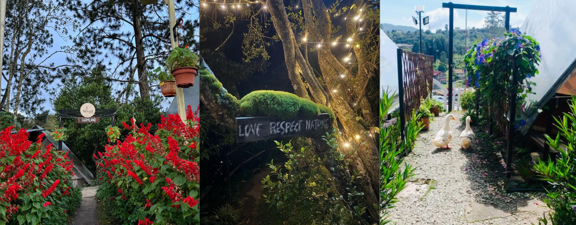 The Backyard Glamping Cameron Highlands - Campsite in Cameron Highlands ...