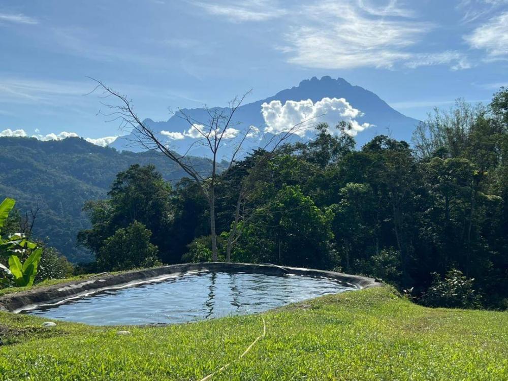 Dololobou Eco-Camp & Farmstay - Campsite in Kelawat, Sarawak