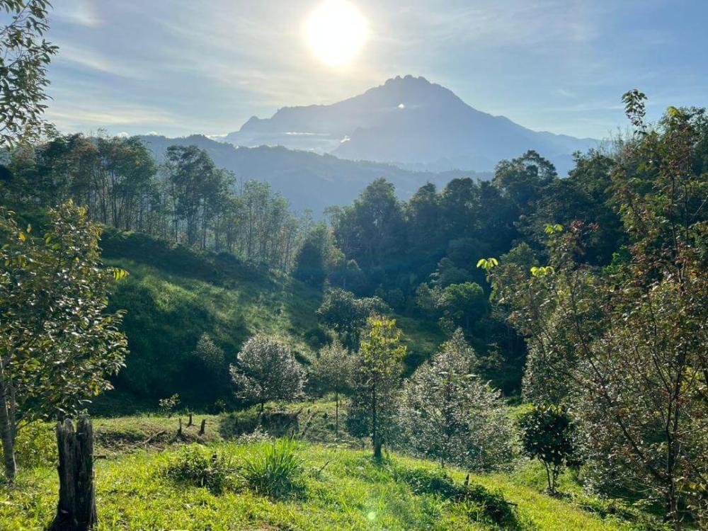 Dololobou Eco-Camp & Farmstay - Campsite in Kelawat, Sarawak