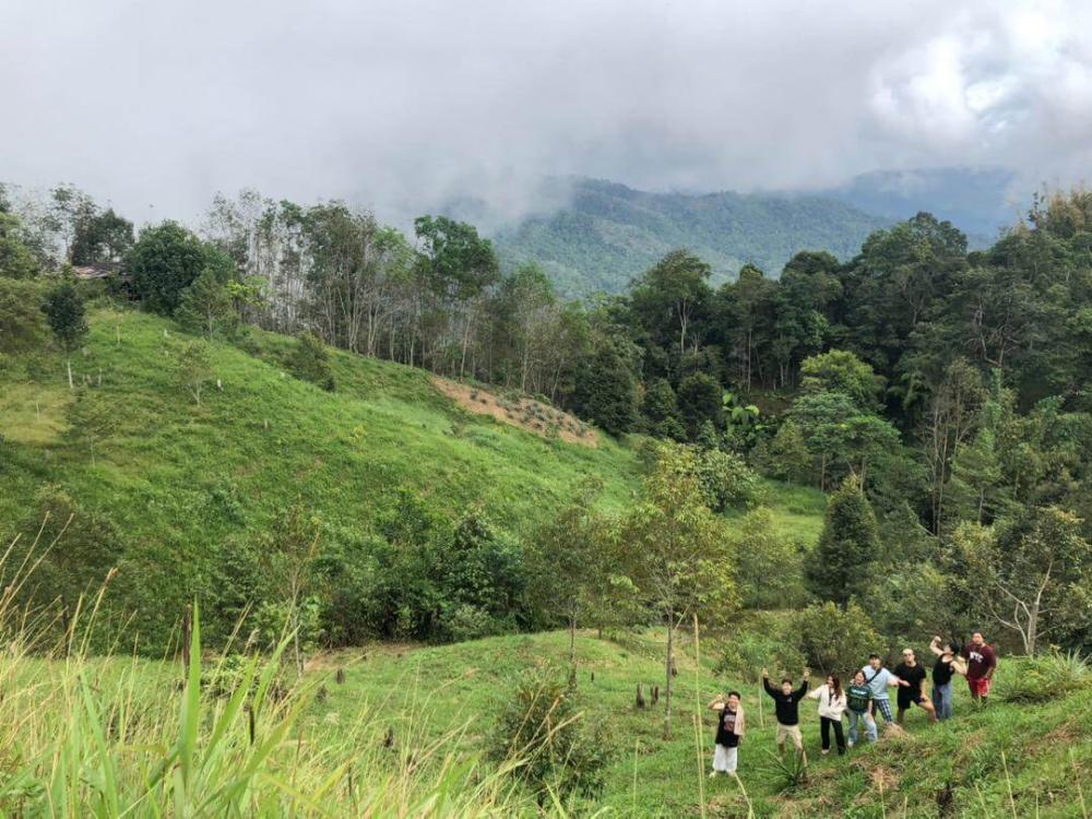 Dololobou Eco-Camp & Farmstay - Campsite in Kelawat, Sarawak